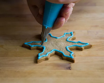 How To: Outline A Cookie | Redpath Sugar